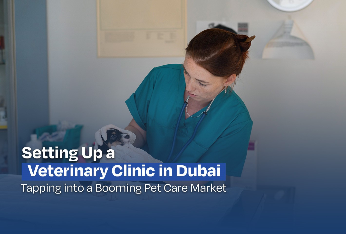 Setting Up A Veterinary Clinic In Dubai: Tapping Into A Booming Pet ...